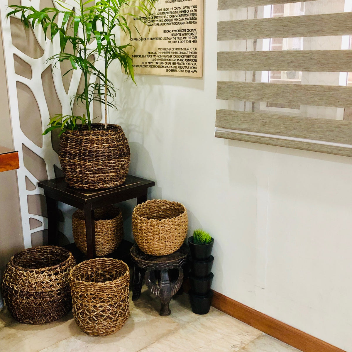 Native Baskets – at home with Maria